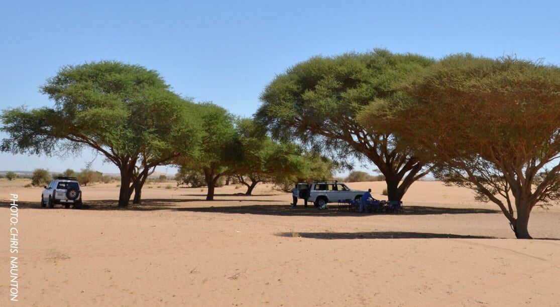 Sudan - The Land of Kush — Ancient World Tours